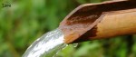 Bamboo Drip Irrigation System – Raincentre's Blog