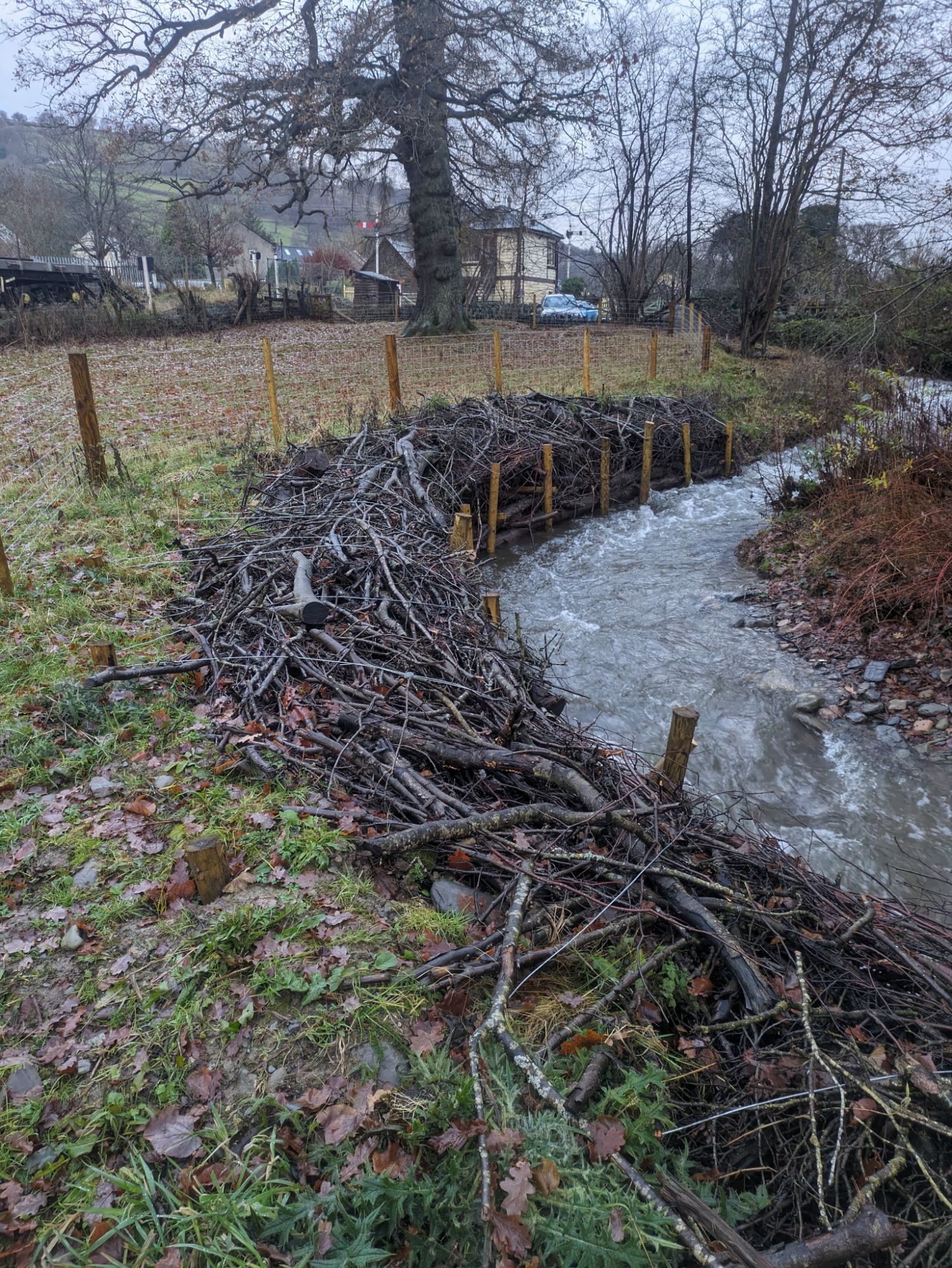 How to Control Streambank Erosion – Raincentre's Blog