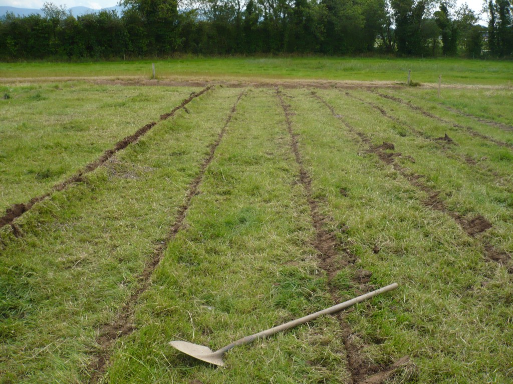 Mole Plough – Raincentre's Blog